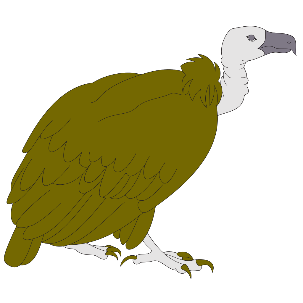 Vulture Bird Cartoon Facing Front
