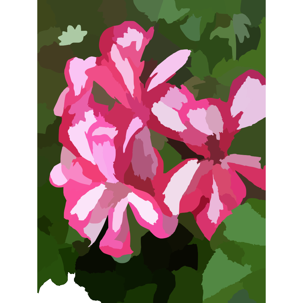Geranium Flowers Clip Art