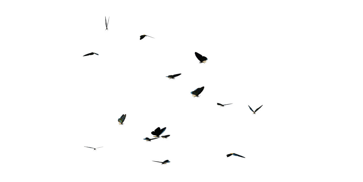 Free 220 Butterfly Swarm Svg Svg Png Eps Dxf File