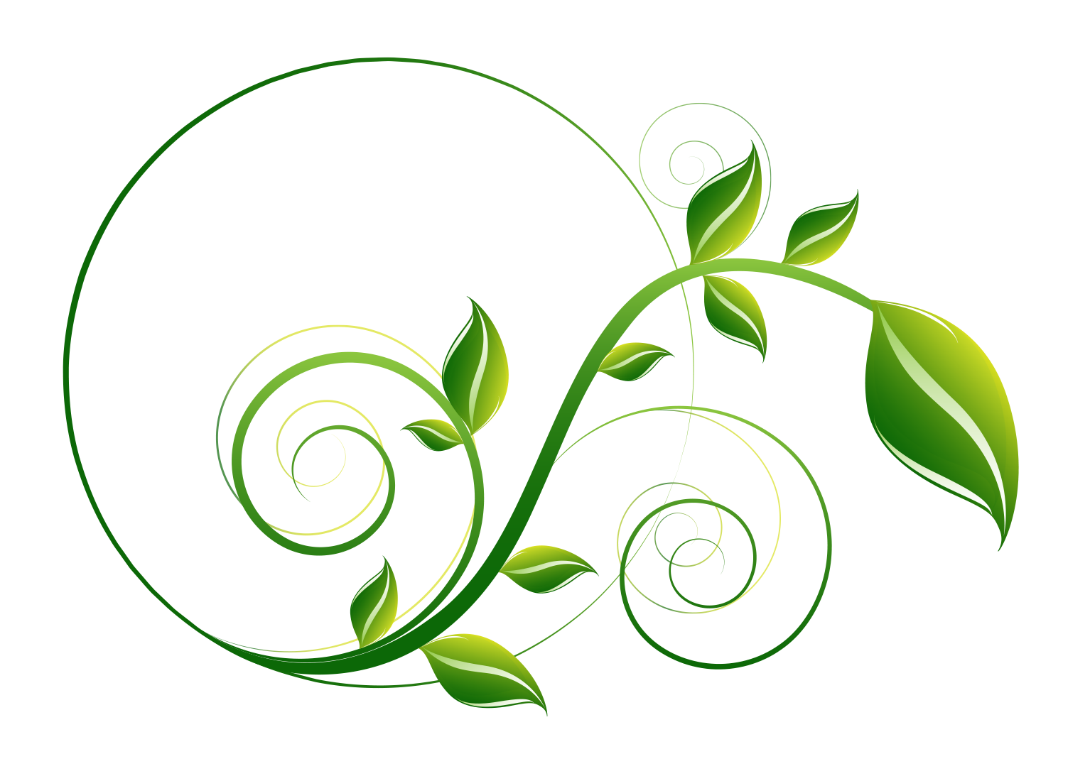 Decorative Leaf Png Free Logo Image