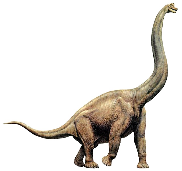 Diplodocus PNG File PNG, SVG Clip art for Web - Download Clip Art, PNG ... Diplodocus PNG File PNG, SVG Clip art for Web - Download Clip Art, PNG ...