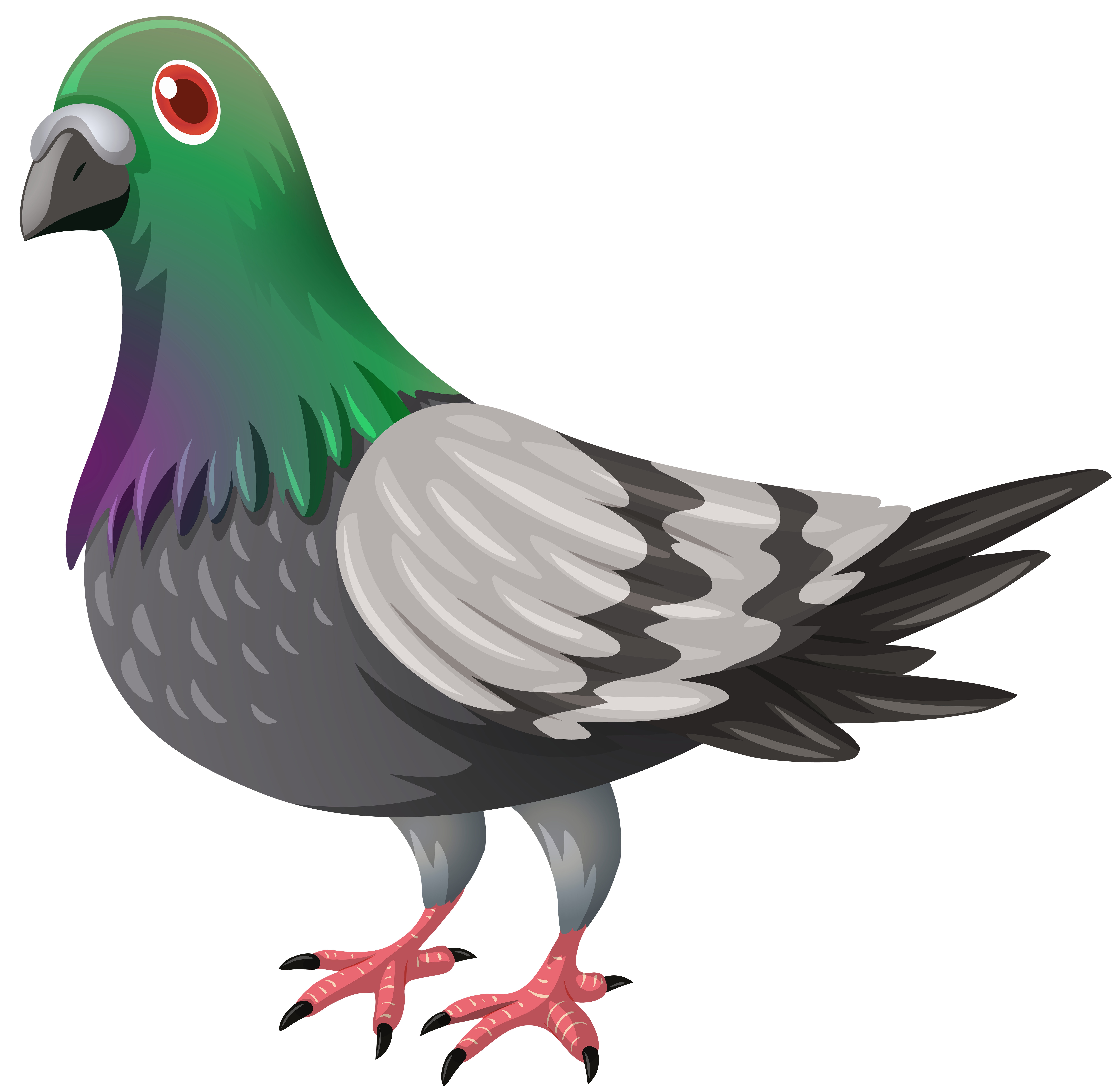 Pigeon PNG Transparent PNG, SVG Clip art for Web - Download Clip Art ...